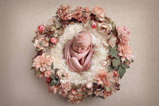 Baby Cadence Sneak Peek – Midland Odessa Newborn Photographer ...